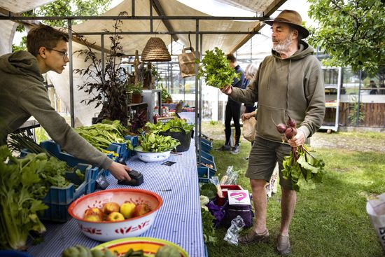 20220521 113333 Utrecht Market Stall On Editorial Stock Photo - Stock ...