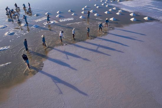 Colourful Process Salt Harvesting Captured Hon Editorial Stock Photo ...