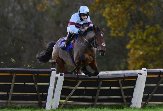 Race Winner Lallygag Ridden By Freddie Editorial Stock Photo - Stock ...