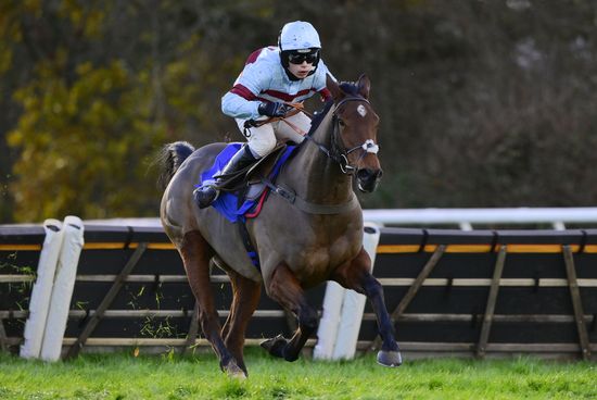 Race Winner Lallygag Ridden By Freddie Editorial Stock Photo - Stock ...