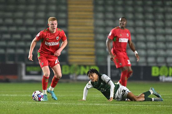 Alfie Bendle 24 Afc Wimbledon On Editorial Stock Photo - Stock Image ...
