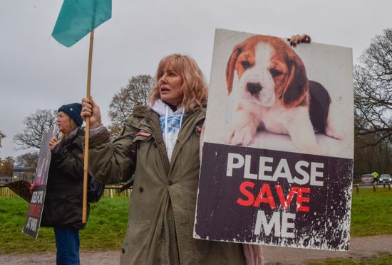 Activist Holds Please Save Me Placard Editorial Stock Photo - Stock ...