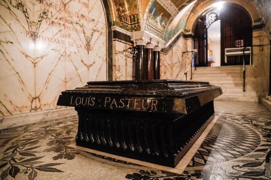 View Louis Pasteurs Tomb Inside Crypt Editorial Stock Photo - Stock ...