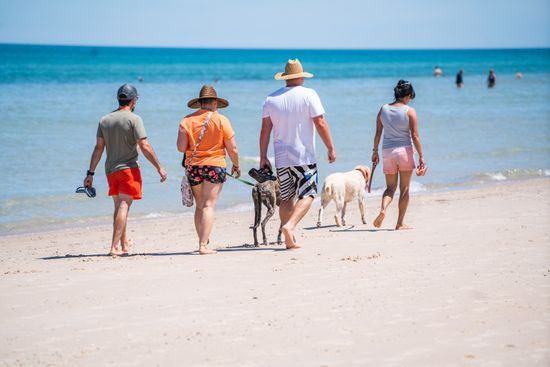 People Enjoying Hot Weather Beach Adelaide Editorial Stock Photo ...