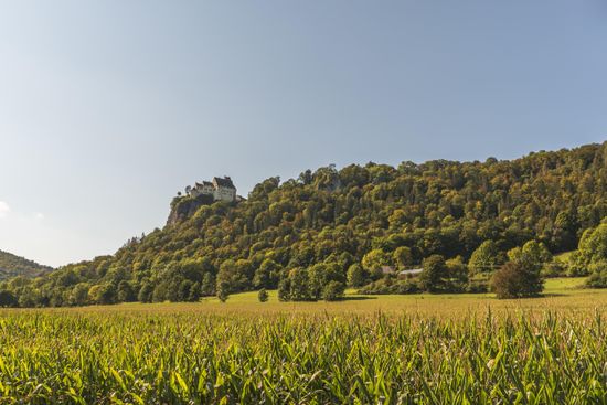 View Over Cornfield Werenwag Castle Upper Editorial Stock Photo - Stock ...