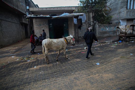Cold Weather Palestinian Slums Beit Lahia Editorial Stock Photo - Stock ...