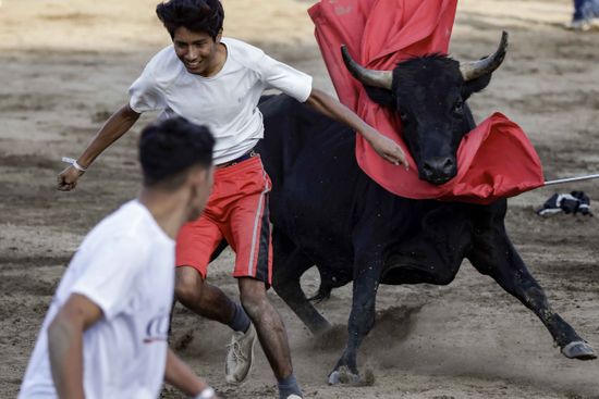 Man Runs Away Bull During Bullfighting Editorial Stock Photo - Stock ...
