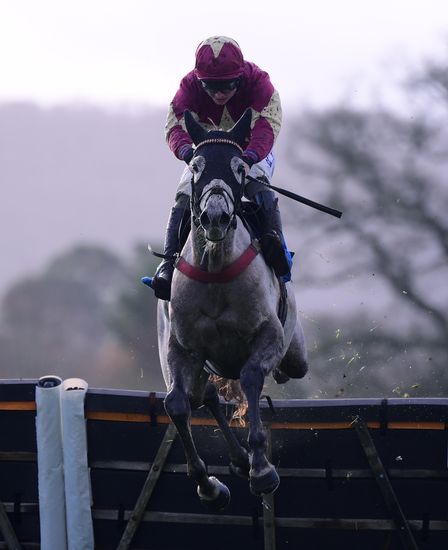 Race Winner Inspiratrice Ridden By Sean Editorial Stock Photo - Stock ...
