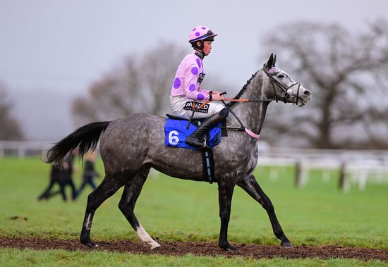 Magical Maggie Ridden By Jay Tidball Editorial Stock Photo - Stock ...