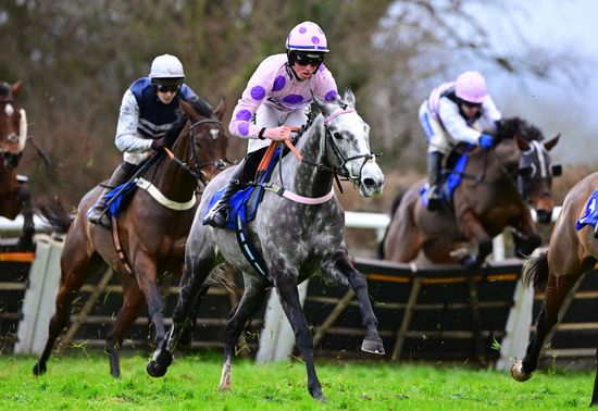 Magical Maggie Ridden By Jay Tidball Editorial Stock Photo - Stock ...