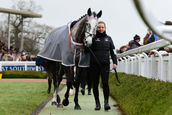 Magical Maggie Ridden By Jay Tidball Editorial Stock Photo - Stock ...