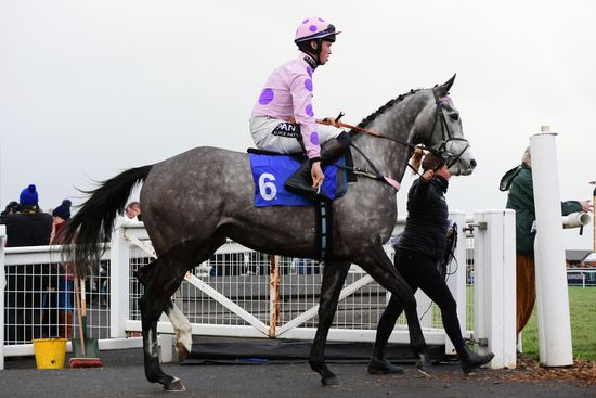 Magical Maggie Ridden By Jay Tidball Editorial Stock Photo - Stock ...