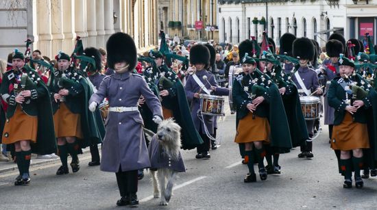 Number 9 Company Irish Guards Musical Editorial Stock Photo - Stock ...