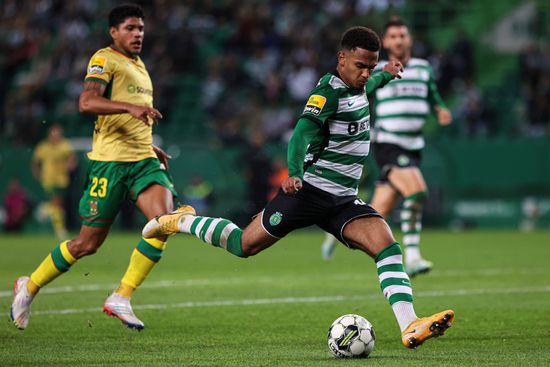Marcus Edwards Sporting Cp Seen Action Editorial Stock Photo - Stock ...