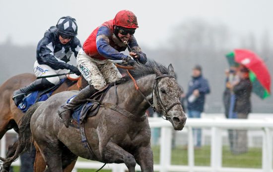 Grumpy Charley Bryan Carver Wins Coral Editorial Stock Photo - Stock ...