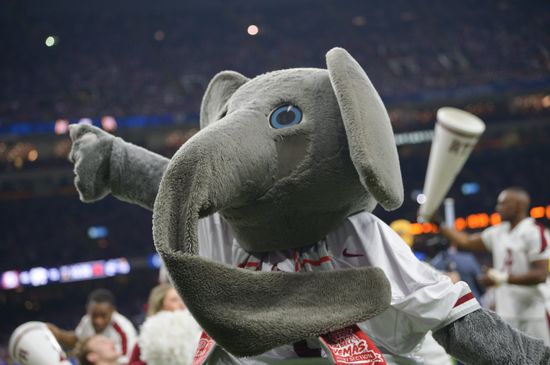 Alabama Crimson Tide Mascot Big Al Editorial Stock Photo - Stock Image ...
