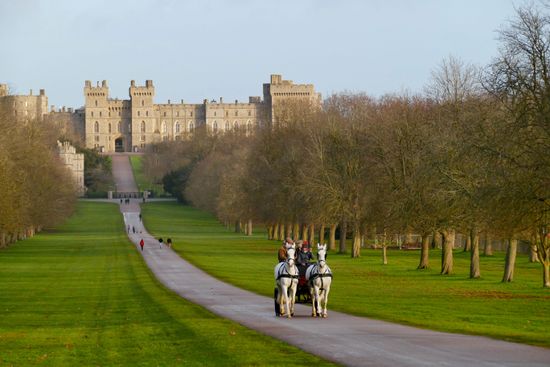 Horse Carriage Travels Along Long Walk Editorial Stock Photo - Stock ...