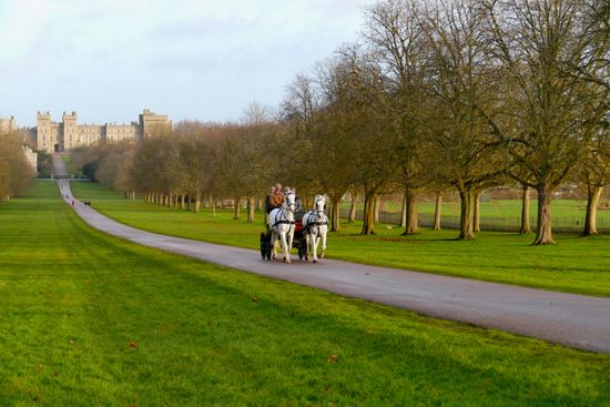 Horse Carriage Travels Along Long Walk Editorial Stock Photo - Stock ...