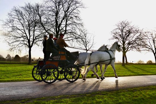 Horse Carriage Travels Along Long Walk Editorial Stock Photo - Stock ...