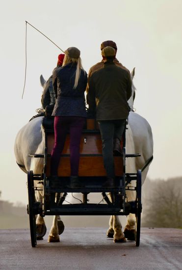 Horse Carriage Travels Along Long Walk Editorial Stock Photo - Stock ...