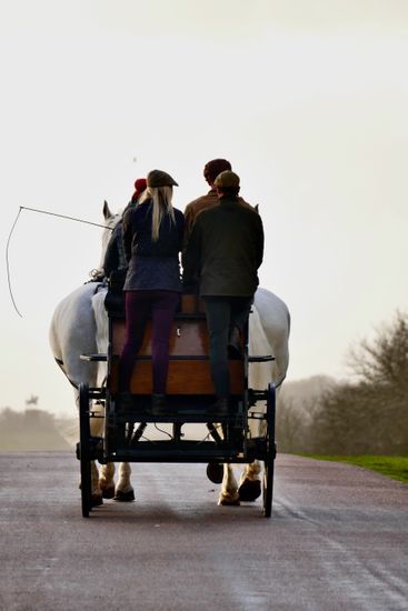 Horse Carriage Travels Along Long Walk Editorial Stock Photo - Stock ...