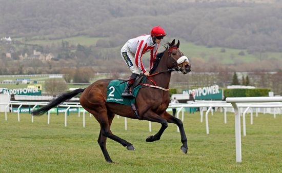 Real Whacker Sam Twistondavies Winner Paddy Editorial Stock Photo ...