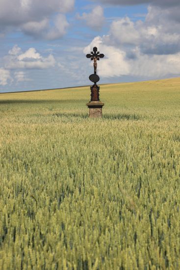 Field Cross Wheat Field Near Dukovany Editorial Stock Photo - Stock ...