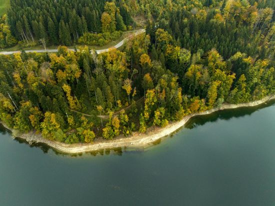 Colourful Trees Autumn On Shore Lac Editorial Stock Photo - Stock Image ...