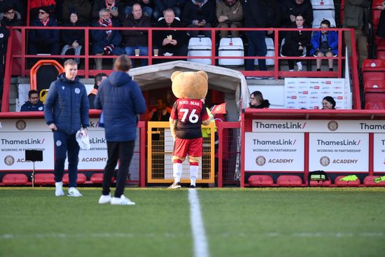 Boro Bear During Stevenage Vs Gillingham Editorial Stock Photo - Stock ...