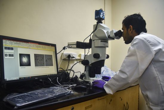 Researcher Indian Institute Technology Iit Madras Editorial Stock Photo ...