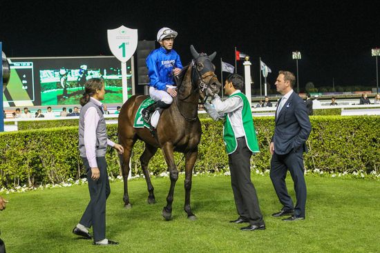 Al Suhail Gb Ridden By James Editorial Stock Photo - Stock Image ...
