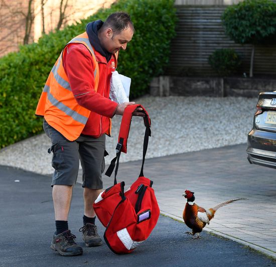 Royal Mail Postman Mark Brough Who Editorial Stock Photo - Stock Image ...