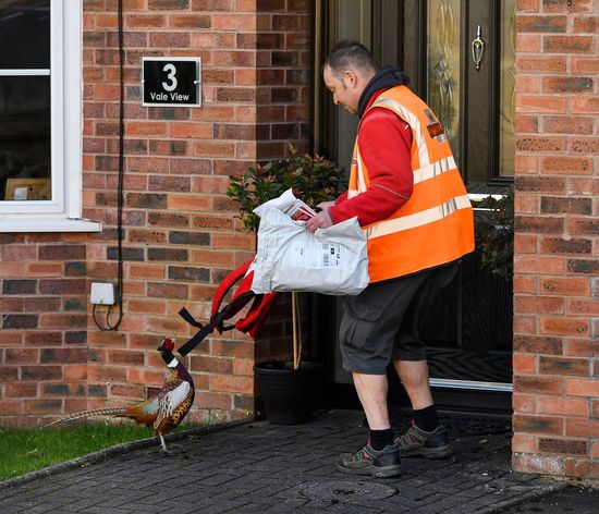 Royal Mail Postman Mark Brough Who Editorial Stock Photo - Stock Image ...