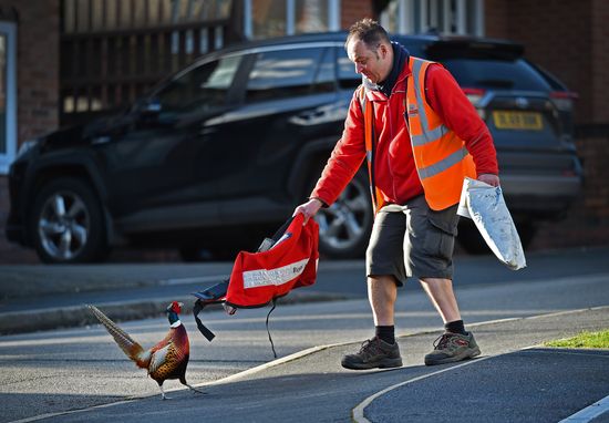 Royal Mail Postman Mark Brough Who Editorial Stock Photo - Stock Image ...