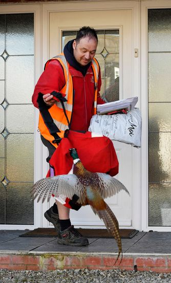 Royal Mail Postman Mark Brough Who Editorial Stock Photo - Stock Image ...