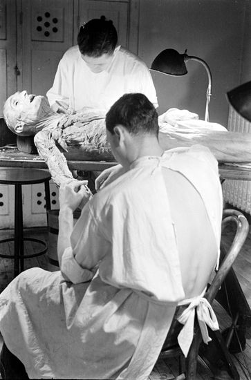 Student University Wisconsin Dissecting Human Corpse Editorial Stock ...