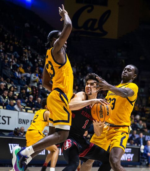 Berkeley Ca Usa Stanford Guard Isa Editorial Stock Photo - Stock Image ...