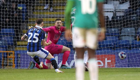 Danny Lloyd Rochdale Scores 1st Goal Editorial Stock Photo - Stock ...