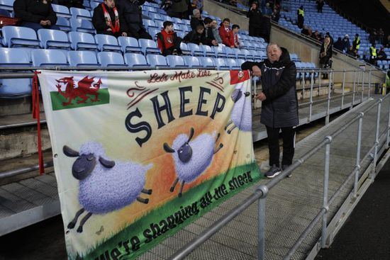 Wrexham Afc Fans Put Flags Supporting Editorial Stock Photo - Stock ...