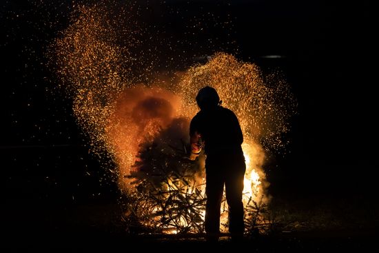 Firefighter Throws Villagers Christmas Trees On Editorial Stock Photo ...