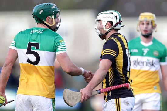 Kilkenny Vs Offaly Offalys David King Editorial Stock Photo - Stock ...