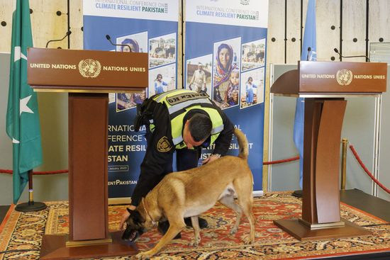 Un Security Guard His Dog Controls Editorial Stock Photo - Stock Image ...