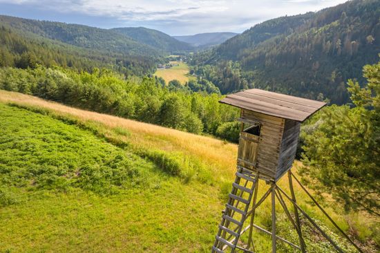 Hunters Seat View Black Forest Bad Editorial Stock Photo - Stock Image ...