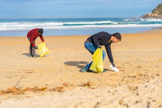 Volunteers Collecting Plastic Sand On Beach Editorial Stock Photo ...
