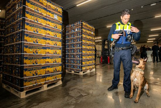 Customs K9 Unit Using Belgian Malinois Editorial Stock Photo - Stock ...