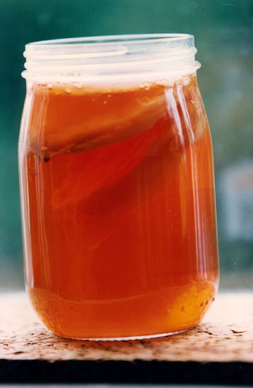 Jar Kombucha Living Organism Made Bacteria Editorial Stock Photo ...