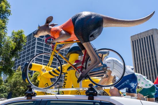 Kangaroo Mascot Reding Bicycle Displayed On Editorial Stock Photo ...