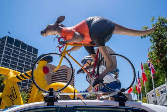 Kangaroo Mascot Reding Bicycle Displayed On Editorial Stock Photo ...