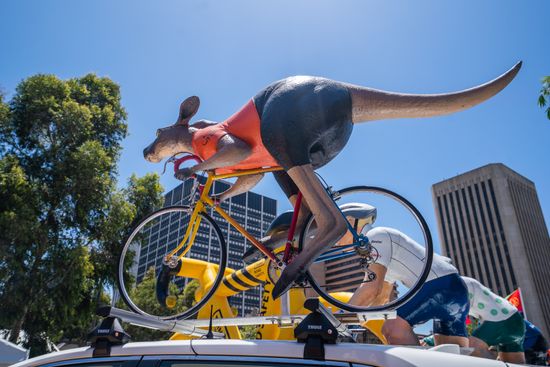 Kangaroo Mascot Reding Bicycle Displayed On Editorial Stock Photo ...
