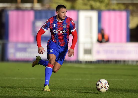 Danny Imray Crystal Palace During Premier Editorial Stock Photo - Stock ...